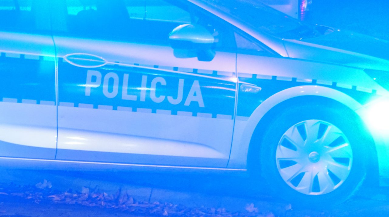 Zderzenie pojazdu osobowego z łosiem. Droga jest częściowo zablokowana ... Zderzenie pojazdu osobowego z łosiem. Droga jest częściowo zablokowana ...
