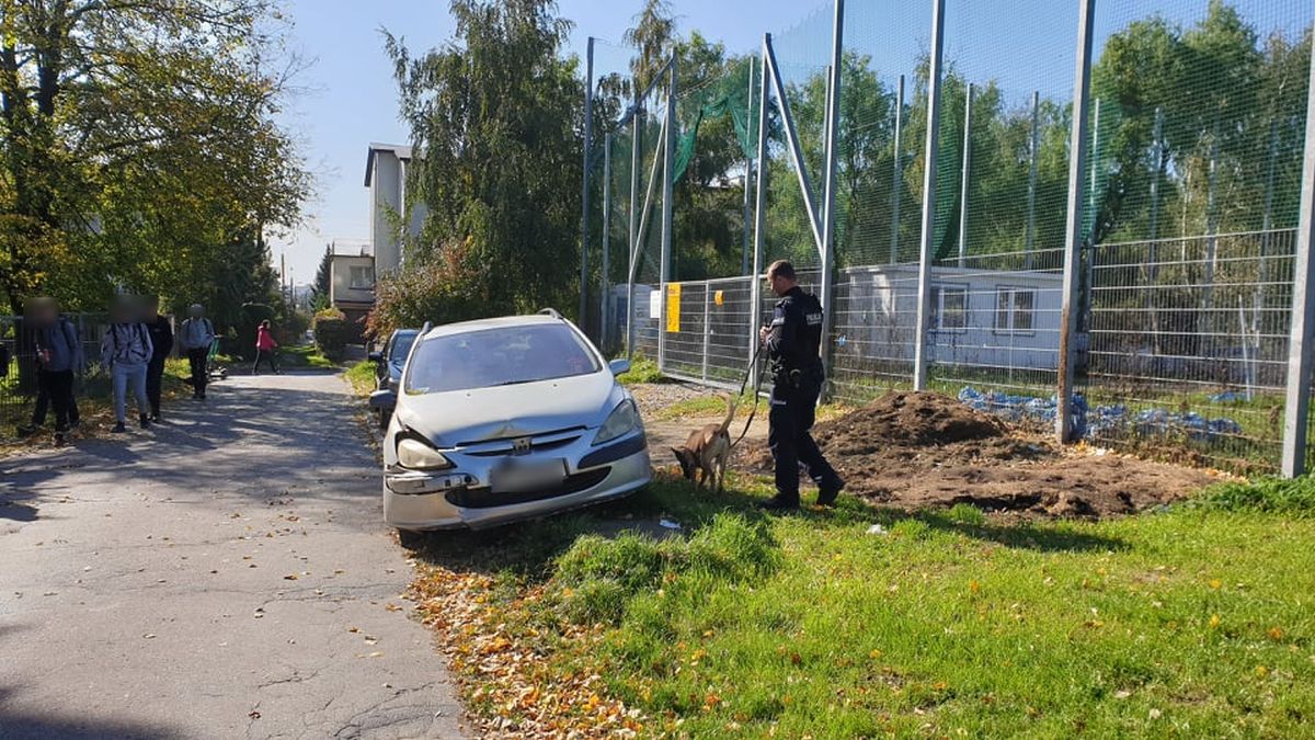 magnoliowa : Lublin112.pl – Wiadomości z Lublina i regionu. Ważne ...