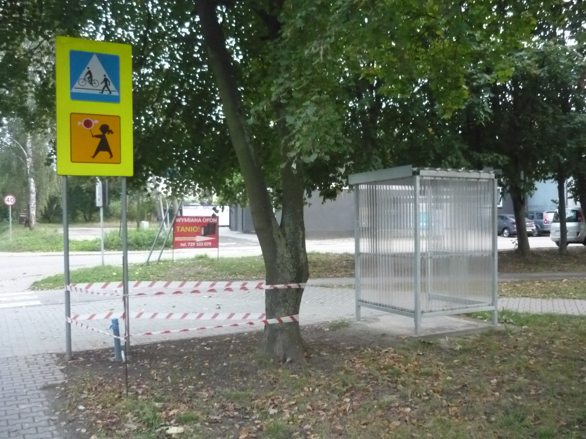 Stosunkowo nowy zawód „pan stopek”. Czy to odpowiedzialna, trudna praca ...